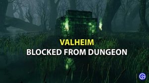 Valheim Blocked From Dungeon Bug Fix - Gamer Tweak