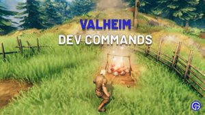 Valheim Dev Commands: F5 Console & Imacheater Not Working