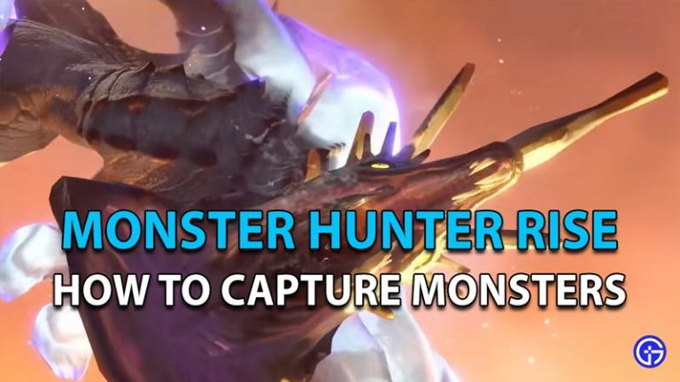 Monster Hunter Rise: How To Capture A Monster In MHR