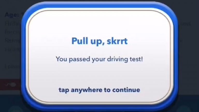 All Driving Test Answers For Bitlife - Gamer Tweak