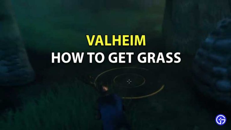 Valheim: How To Make Grass And Get Grass To Grow Back