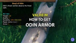 Valheim: How To Get Odin Armor Set | Hood And Cape