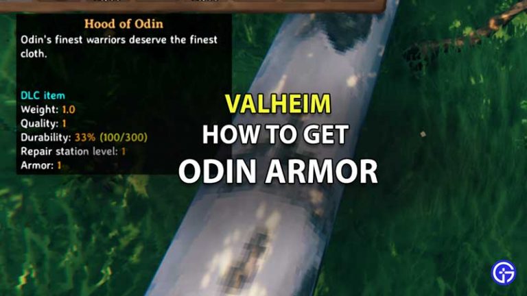 Valheim: How To Get Odin Armor Set | Hood And Cape