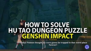 Genshin Impact: How To Solve Hu Tao Dungeon Puzzle Quest