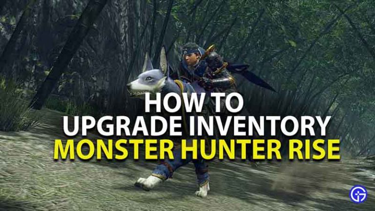 Monster Hunter Rise: How To increase Inventory | Increase Pouch Size
