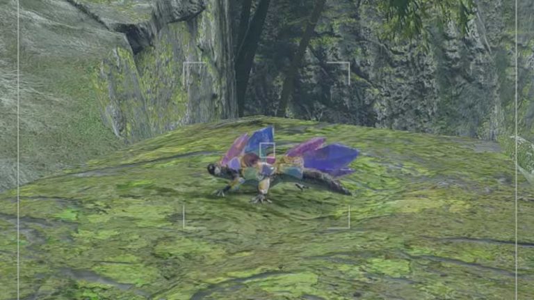 Monster Hunter Rise Rock Lizard Location For Endemic Life Request