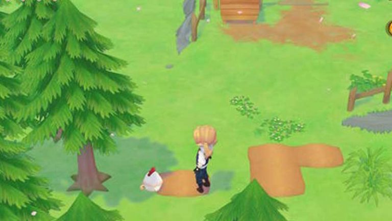 SoS PoOT: Where To Find Solid, Supple, Durable & Mirage Trees