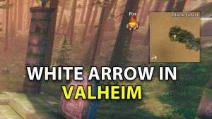 Valheim: What Is The White Arrow On The Minimap?