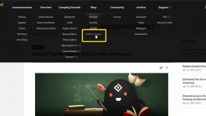 Black Desert Online BDO Codes To Redeem In September 2023