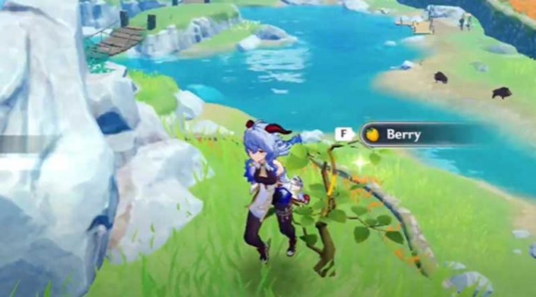 Where to find Berries in Genshin Impact?