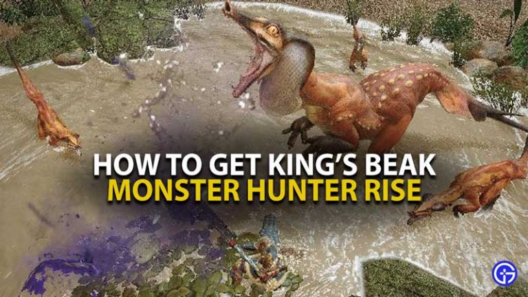 Monster Hunter Rise King's Beak Guide: How To Get King's Beak