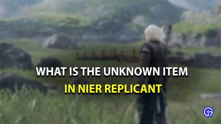 What Is The Unknown Item In Nier Replicant & How to Find it?