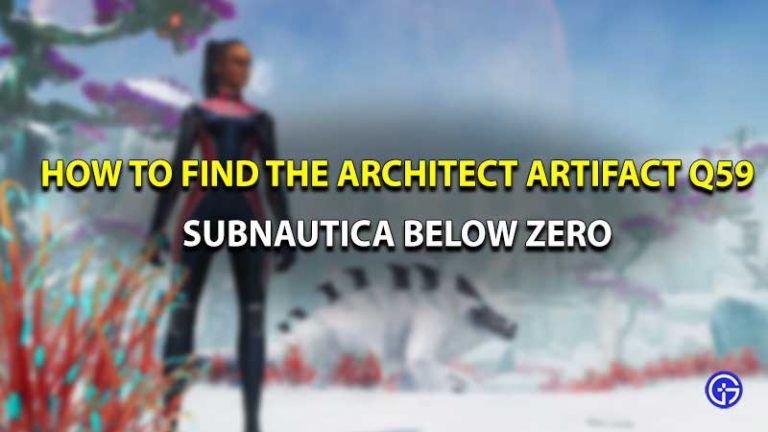 Architect Artifact Q59 Location Guide For Subnautica Below Zero?