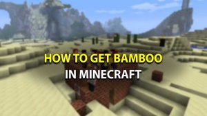 How To Find And Farm Bamboo In Minecraft? - Gamer Tweak