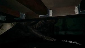 Tips To Avoid Baby Monster in Resident Evil Village - Shortcut