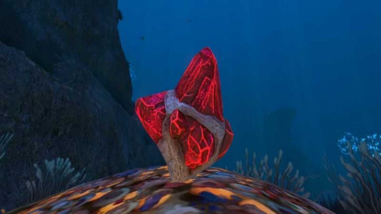 Where To Find Ruby In Subnautica Below Zero? - Gamer Tweak