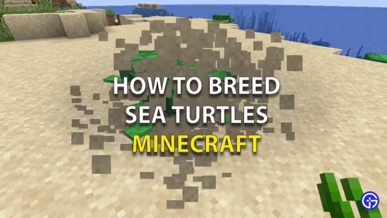 How To Breed Turtles In Minecraft - Bedrock Edition