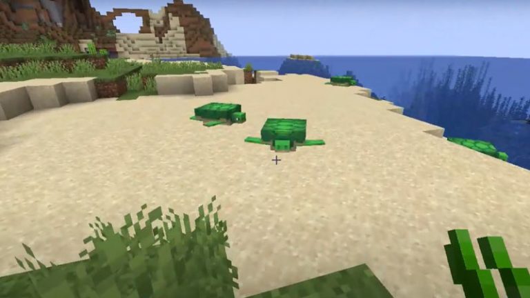 How To Breed Turtles In Minecraft - Bedrock Edition