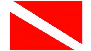 All Bitlife Boating Test Answers | How To Get Boating License In Bitlife