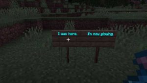 Minecraft Glow Ink Sac: How To Get & Use To Make Glow Items