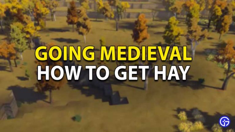 How To Find Hay In Going Medieval to build Hay Pile?