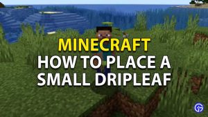 Minecraft Small Dripleaf Guide: How To Mine & Place?