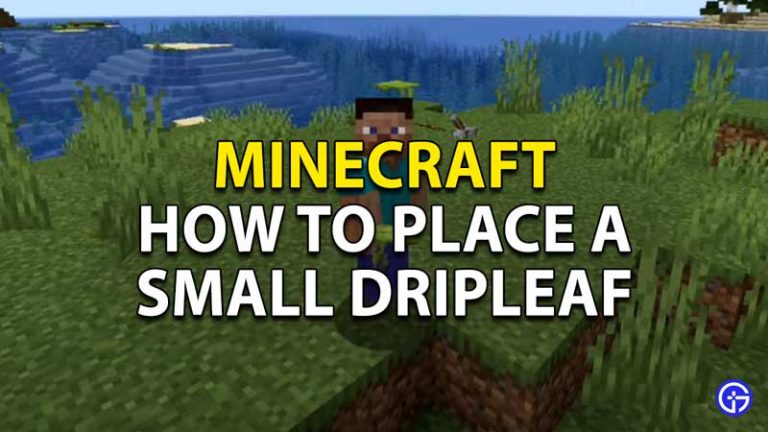 Minecraft Small Dripleaf Guide: How To Mine & Place?