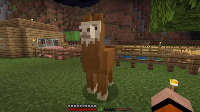 Minecraft llamas Gauide - How to Tame & Ride llamas without Saddle