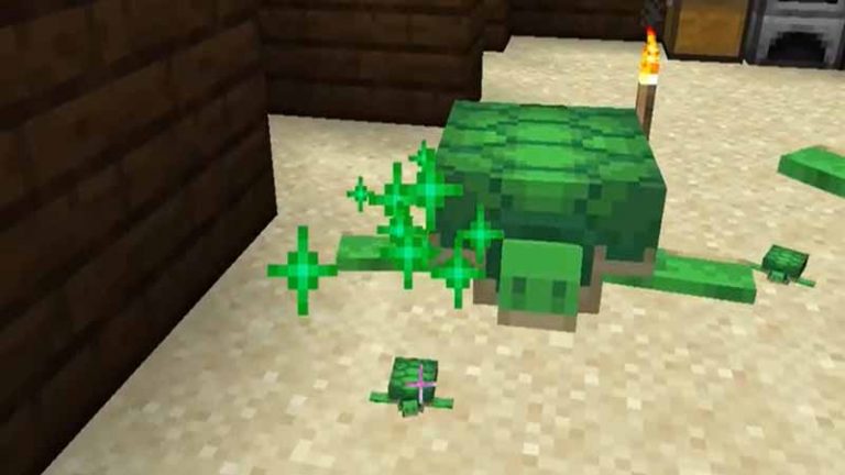 What are Scutes & How to Get Scutes in Minecraft?