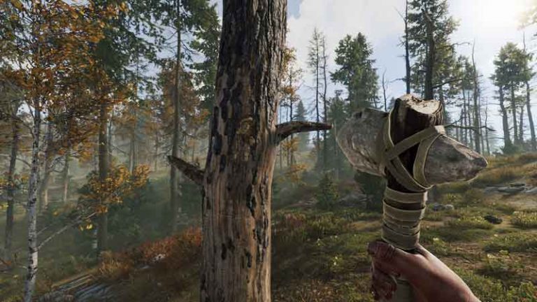 Why Does Rust Take Long To Load & How To Make It Load Faster?