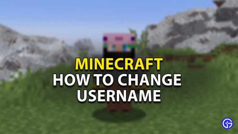How To Change Your Username In Minecraft (Step By Step Guide)