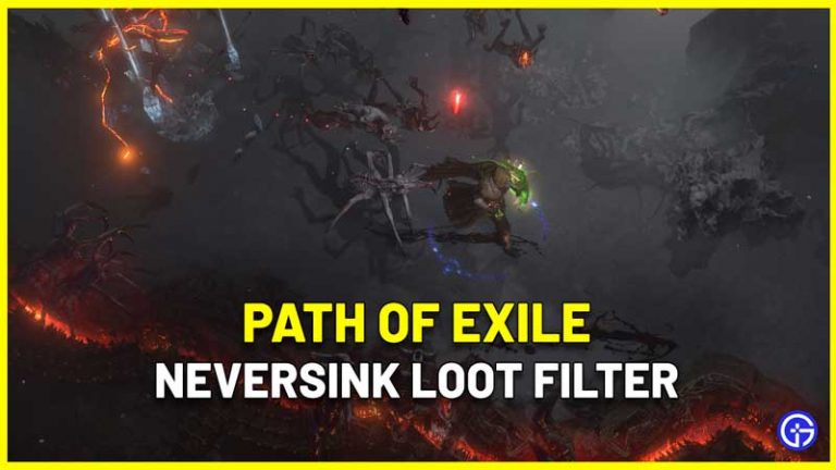 Path Of Exile Neversink Loot Filter 3.16 Download & How To Install