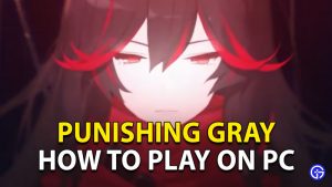 Punishing Gray Raven PC: How To Play On PC And Mac