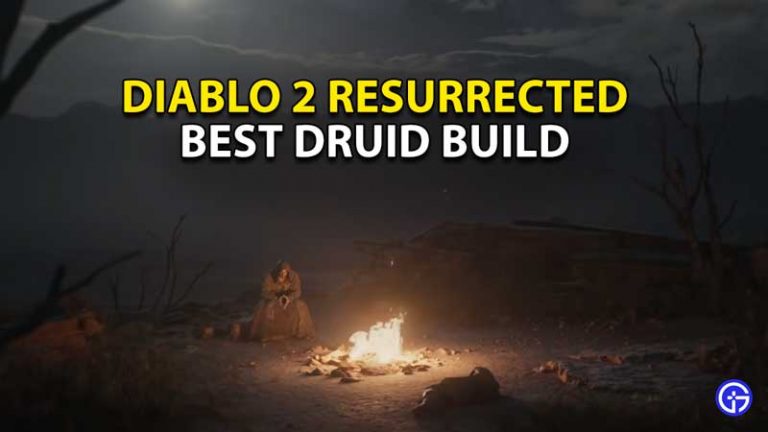 Diablo 2 Resurrected Best Druid Build - Gamer Tweak