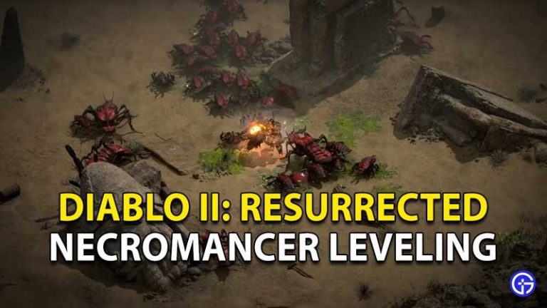 Diablo 2 Resurrected Necromancer Leveling: How To Level Up Builds