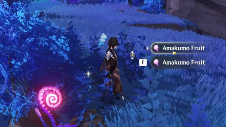 Genshin Impact Amakumo Fruit Locations - Gamer Tweak