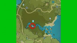 Medaka Location Genshin Impact: Where To Find Rare Fish