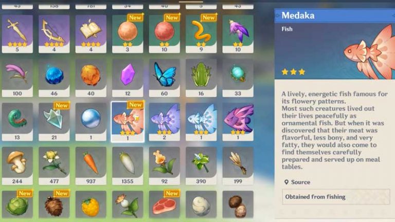 Medaka Location Genshin Impact: Where To Find Rare Fish