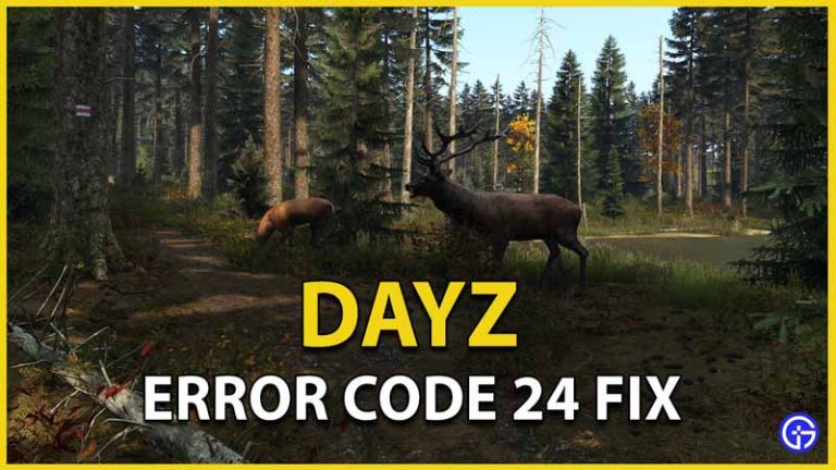 DayZ Error Code 24 Fix (100% Working 2021) - Gamer Tweak