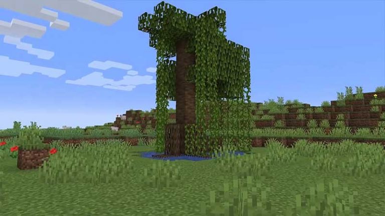 Mangrove Swamp Biome Location - How To Find Mangrove Trees & Wood