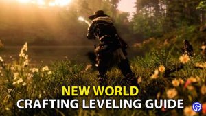 New World Crafting Leveling Guide: