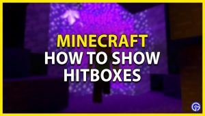 Minecraft: How To Show Hitboxes & Its Uses - Gamer Tweak