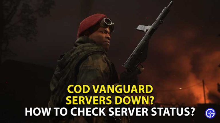Call of Duty Vanguard Servers Down: How To Check Server Status?