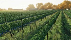 Fix Farming Simulator 22 Could Not Connect To Server Error