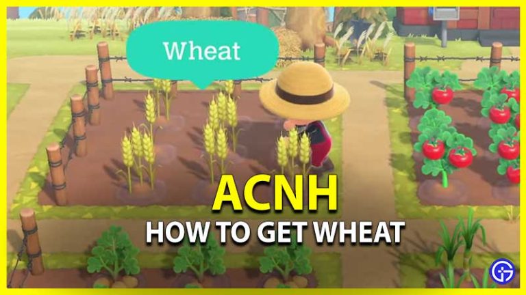 How To Grow Wheat In Animal Crossing (ACNH) & Get Flour