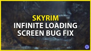 Infinite Loading Screen Skyrim Bug Fix - Gamer Tweak