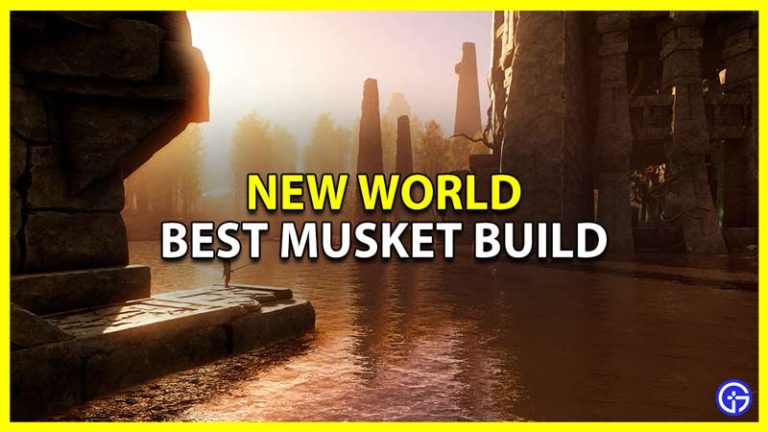 Best Musket Build In New World And Build Guide - Gamer Tweak