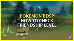 How To Check Friendship In Pokemon Brilliant Diamond & Shining Pearl