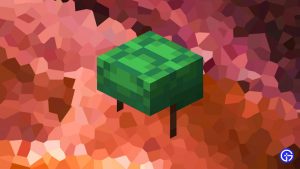 Minecraft: How To Get A Turtle Shell Helmet - Gamer Tweak