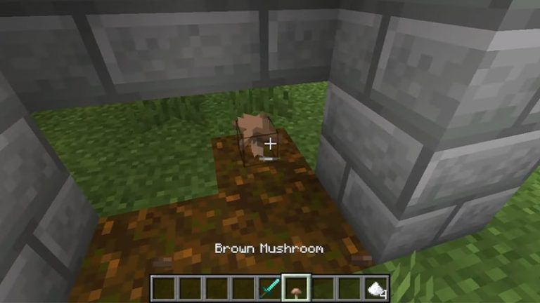 How To Make A Fermented Spider Eye In Minecraft - Gamer Tweak